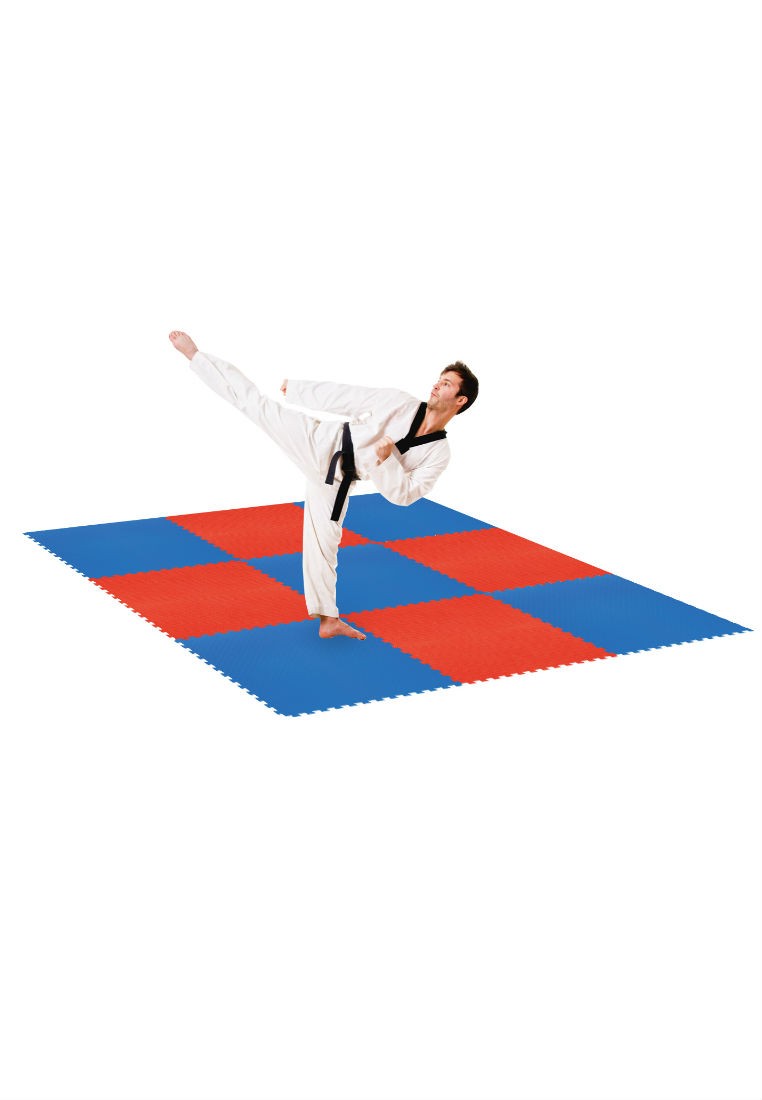 Martial Arts Mat 40MM - Sole Fitness Malaysia